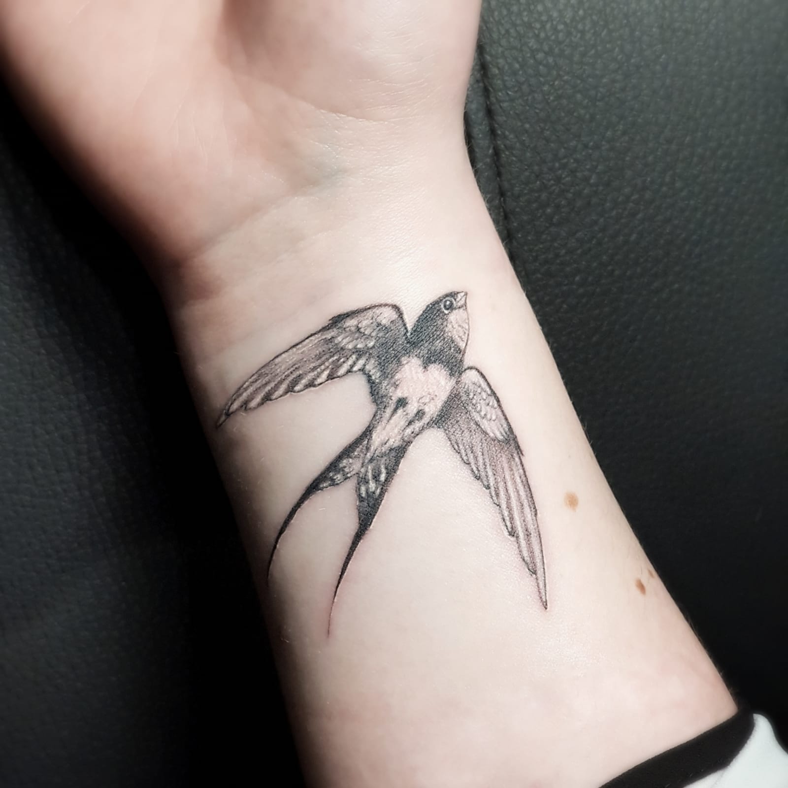 Tatouage oiseau - the black hat tattoo
